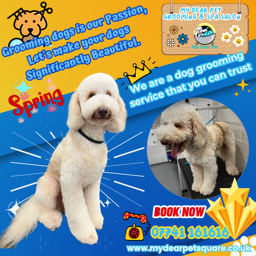 My Dear Pet Grooming & SPA Salon – Golden Vantage Enterprise (UK) Limited